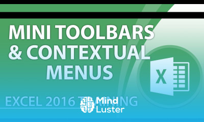 Learn How to Use Mini Toolbars and Contextual Menus in Excel 2016 - Mind Luster