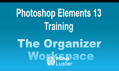 Learn Photoshop Elements 13 Tutorial The Photoshop Elements Organizer ...