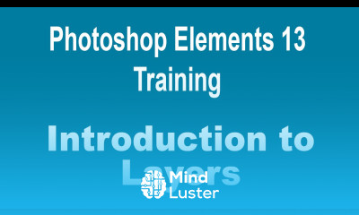 Learn How to Use Layers in Photoshop Elements 13 Part 1 Introduction to Layers - Mind Luster