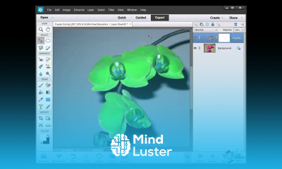 Learn How to Use Layers in Photoshop Elements 12 Part 1 Introduction to Layers - Mind Luster