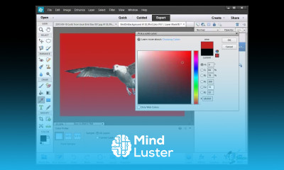 Learn How to Use Layers in Photoshop Elements 12 Part 3 Fill Layers and the Color Picker in PSE ...