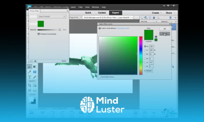 Learn How to Use Layers in Photoshop Elements 12 Part 4 Using Adjustment Layers in PSE 12 - Mind ...