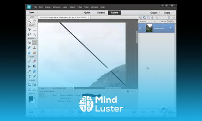 Learn How to Remove Spots and Imperfections Using the Healing Brush Tool with Photoshop Elements ...