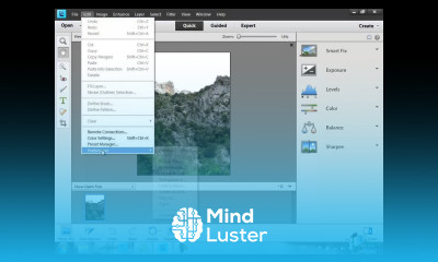 Learn Learn how to use Photoshop Elements 11 Part 26 How to Use the Editor Workspace - Mind Luster