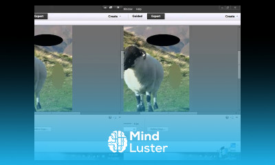 Learn Learn how to use Photoshop Elements 11 Part 49 How to Use Eye Dropper and Color Swatches ...