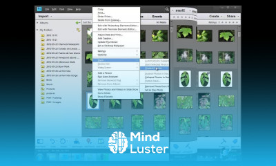Learn Learn how to use Photoshop Elements 11 Part 65 Stacking Photos in Photoshop Elements ...