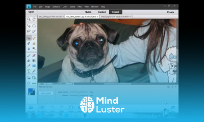 Learn Photoshop Elements 11 Tutorial Enhancing and Retouching Part 1 ...
