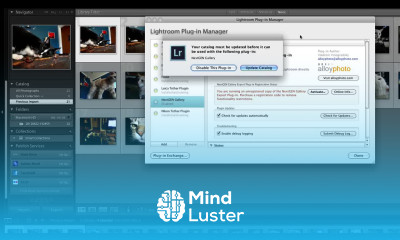 Learn How to Upload Lightroom Images to Wordpress - Mind Luster