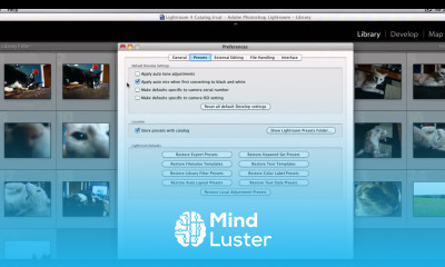 Learn How to Delete Lightroom Presets - Mind Luster