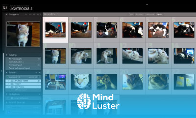 Learn How to Sort Lightroom by Capture Time - Mind Luster