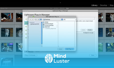 Learn How to Install Lightroom Plugin - Mind Luster