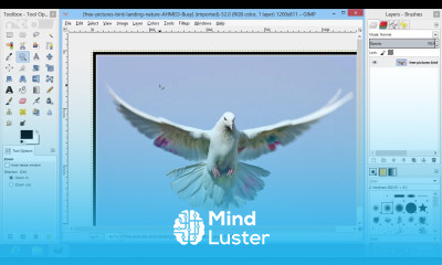 Learn How to Replace Color in GIMP - Mind Luster