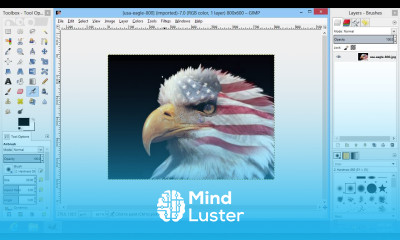 Learn How to Create Instagram Effects in GIMP - Mind Luster
