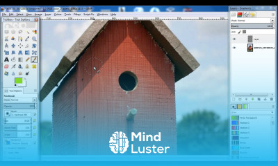 Learn How to Change Color of an Object in GIMP - Mind Luster