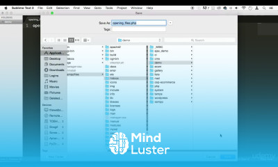 Learn 1 Opening creating files working with files PHP COURSE CMS PROJECT - Mind Luster