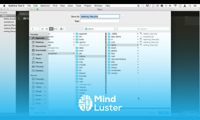 Learn 4 Deleting files working with files PHP COURSE CMS PROJECT - Mind Luster