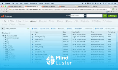 Learn 5 Creating the Online Database PROJECT TO INTERNET CMS COURSE CMS PROJECT - Mind Luster