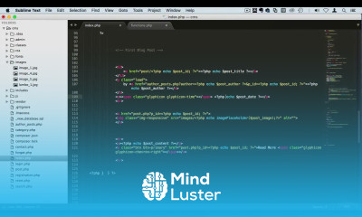 Learn 14 Image fallback and comment display fix PASSWORD SYSTEM SENDING EMAIL PHP COURSE CMS ...