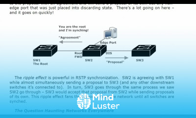 Learn 47 RSTP 2 Synching Compatibility RSTP MST CISCO CNNP COURSE BEGINNERS TUTORIAL - Mind Luster