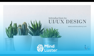 Learn Introduction to UI UX Series - Mind Luster