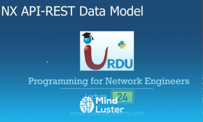 Learn Programming for Network Engineers Lecture 24 NEXUS API REST DATA MODEL - Mind Luster