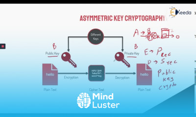 Learn Unlocking Data Security With Asymmetric Key Cryptography - Mind Luster