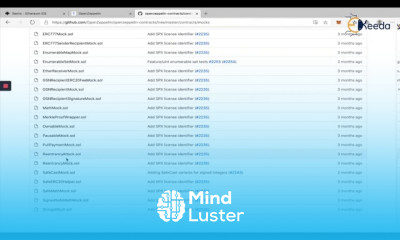 Learn Introduction to Open Zeppelin Library - Mind Luster