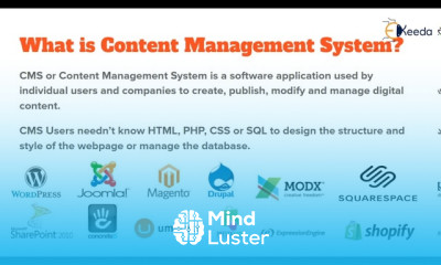 Learn Content Management System CMS - Mind Luster