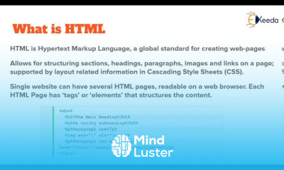 Learn HTML - Mind Luster
