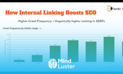 Learn Internal Link - Mind Luster