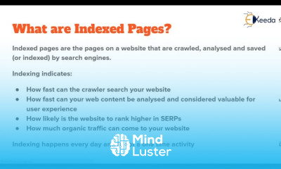 Learn Indexed Pages - Mind Luster