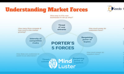 Learn Understanding Market Forces - Mind Luster