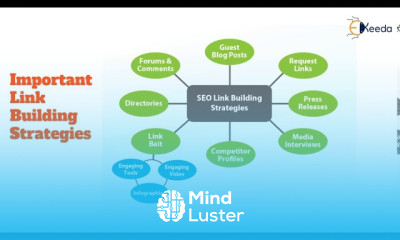Learn Submissions and Link Building - Mind Luster
