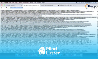 Learn JSON Parsing in iOS - Mind Luster