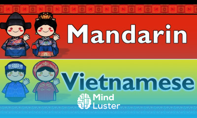 Learn MANDARIN VIETNAMESE - Mind Luster