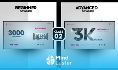 Learn Beginner vs Advanced Designer Redesign Web Page adobe illustrator ...