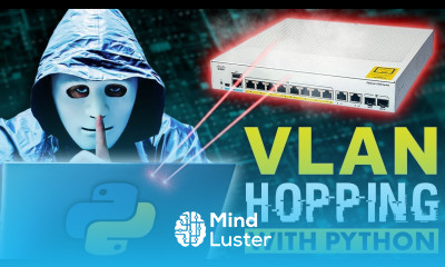 Learn They said this doesn t work Hacking networks with VLAN hopping and Python - Mind Luster