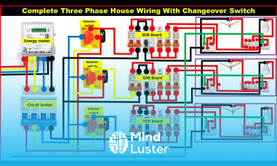 Learn Complete Three Phase House Wiring With Changeover Switch Three ...