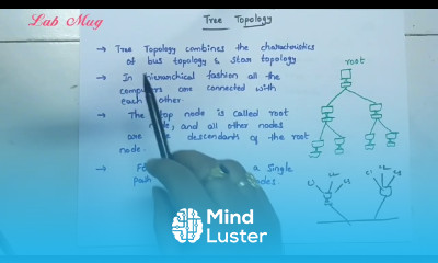 Learn Tree Topology in Computer Networking CN class 11 in Telugu - Mind Luster