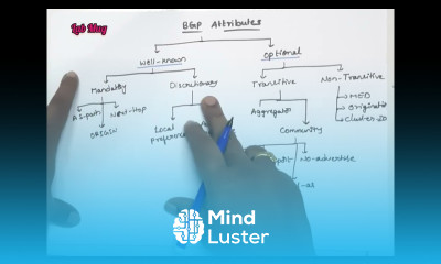 Learn BGP Attributes Computer Networks in Telugu - Mind Luster