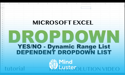 Learn Excel Drop Down List Tutorial How to Create Yes No List Dynamic Range Dependent Drop Down ...