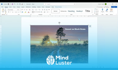 Learn How to Make Text Box Transparent in Word How to Add Text to a ...