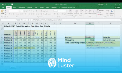 Learn Use Excel s OFFSET Function to SUM Through To a Specified Year - Mind Luster