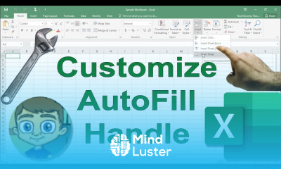 Learn Customize the Excel AutoFill Handle - Mind Luster