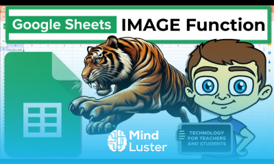 Learn The Google Sheets IMAGE Function - Mind Luster
