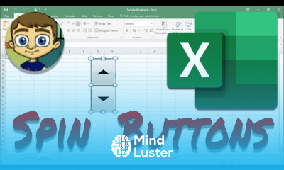 Learn Using Spin Buttons in Excel - Mind Luster