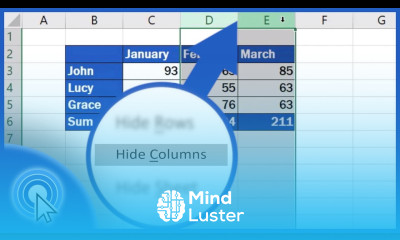 Learn How to Hide Columns in Excel - Mind Luster