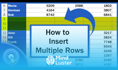 Learn How to Insert Multiple Rows in Excel The Simplest Way - Mind Luster
