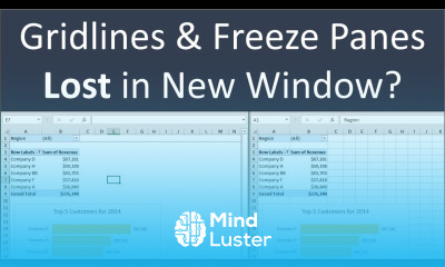 Learn Gridlines Freeze Panes Disappear in New Excel Window - Mind Luster