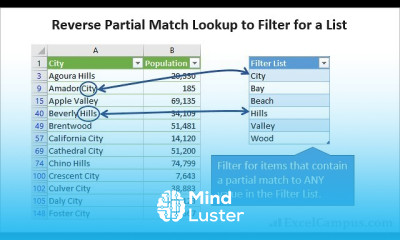 Learn Reverse Partial Match Lookup Filter A List Of Items In Excel - Mind Luster